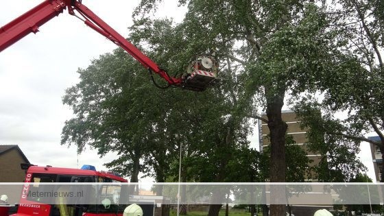 Forse tak breekt door stormachtige wind uit boom in Meppel (Video)