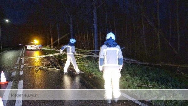 Boom over de weg in Meppel (Video)