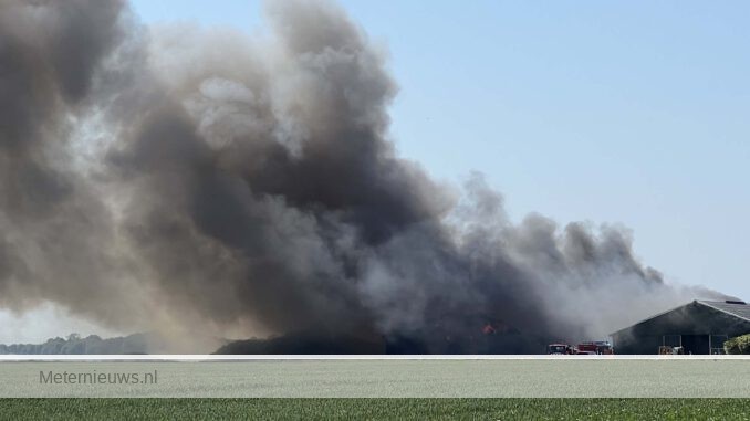 Grote varkensschuur in brand in Beerta, meerdere varkens omgekomen(Video)
