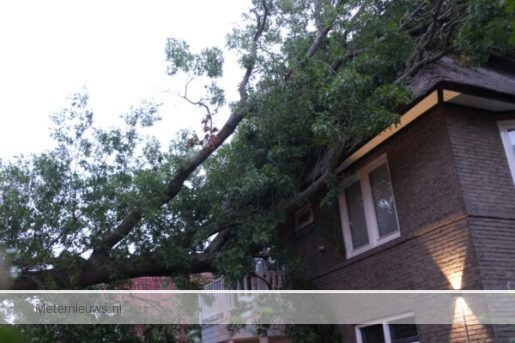Brandweer uren druk met honderd jarige boom op woning Meppel (Video)